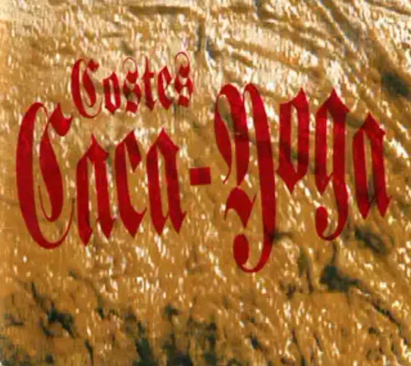 Caca Yoga, de Anne van der Lindenet Jean-Louis Costes, Éditions Bongoût ...